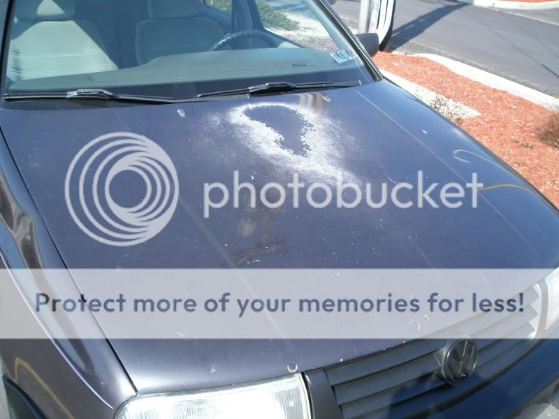 94 vw jetta gl mk3 $$1800 | VW Vortex - Volkswagen Forum