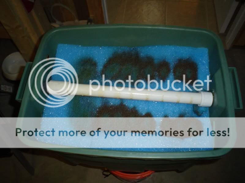 DIY Trickle Filter | MonsterFishKeepers.com