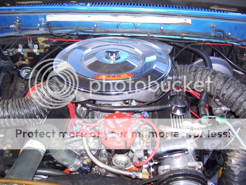 Dizzy Caps - Ford Truck Enthusiasts Forums