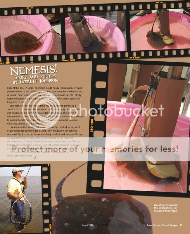 Stingrays and Stingray protection | 2 Cool Fishing Forum