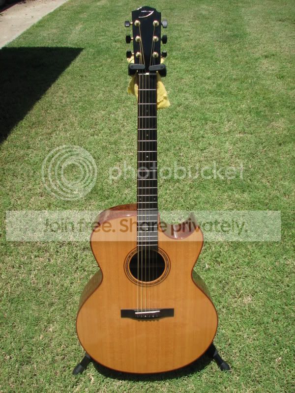 Walnut guitars? - The Acoustic Guitar Forum