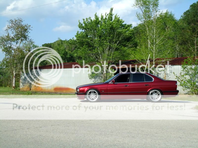 Freshly restored e34 540/6 Calypso on Schwarz