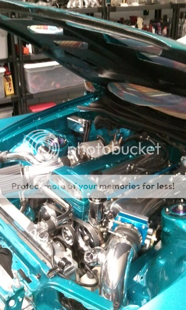 Blacked out engine bays pictures? | Supra Forums