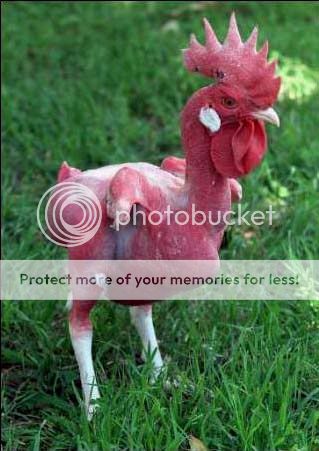 Scaleless snake 'morphs'. | Page 3 | Reptile Forums